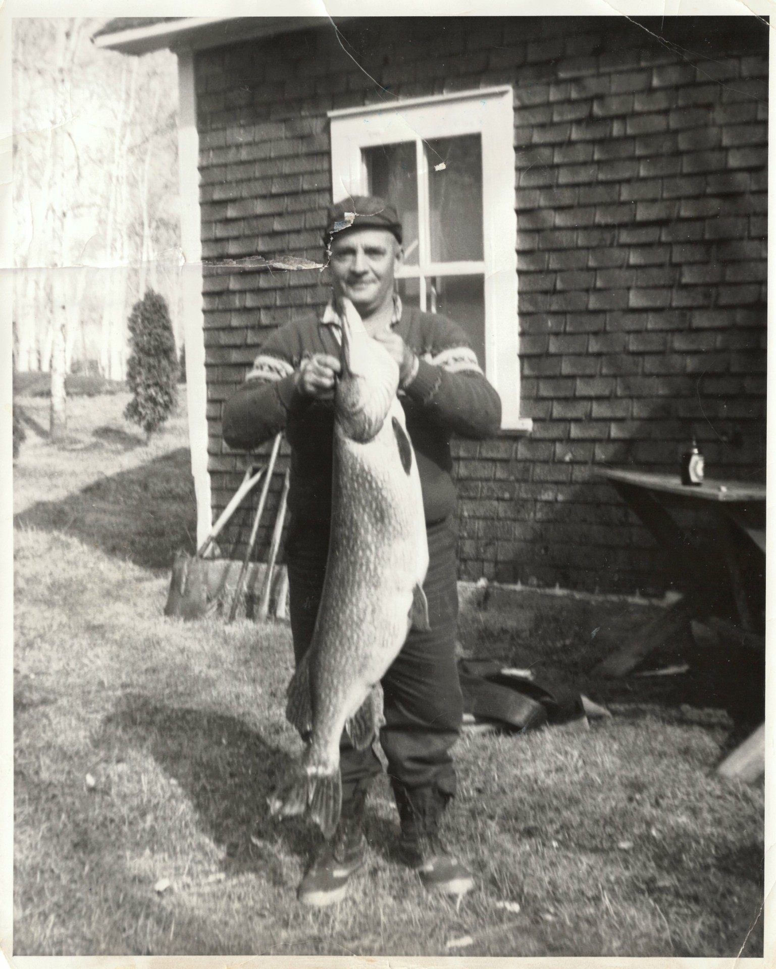 The Fascinating Story of the Morel Family — The Ingot